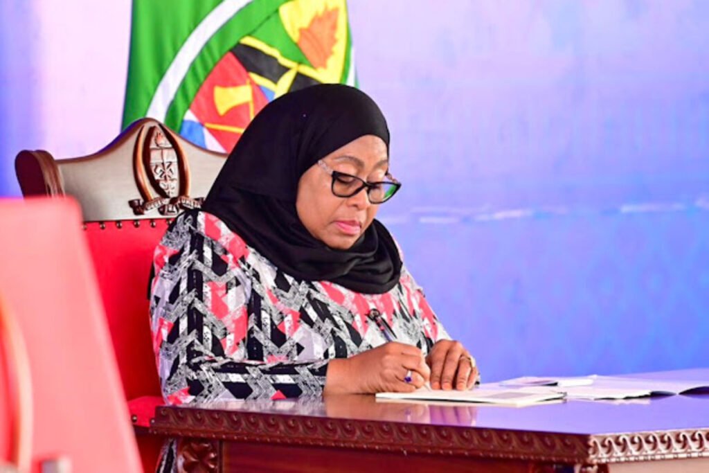 Samia Names New Ministers to Strengthen Government - Media Wire Express