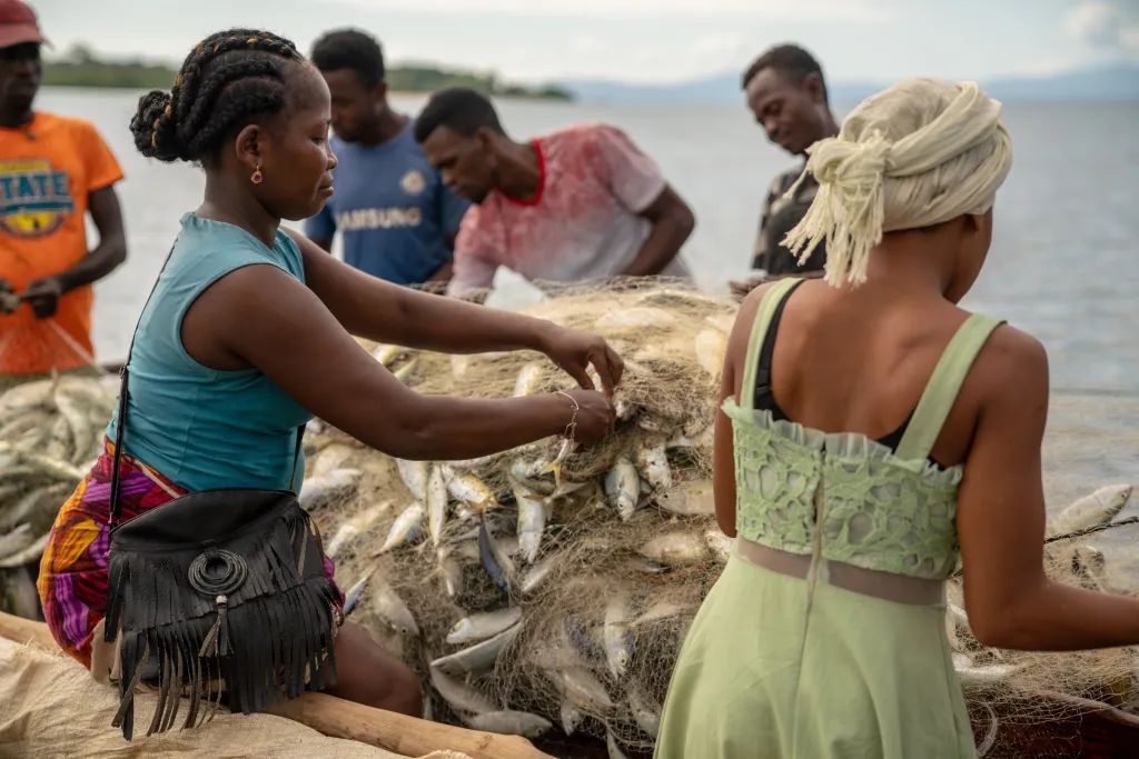 Government Moves to Protect Small-Scale Fishermen Nationwide - Media ...